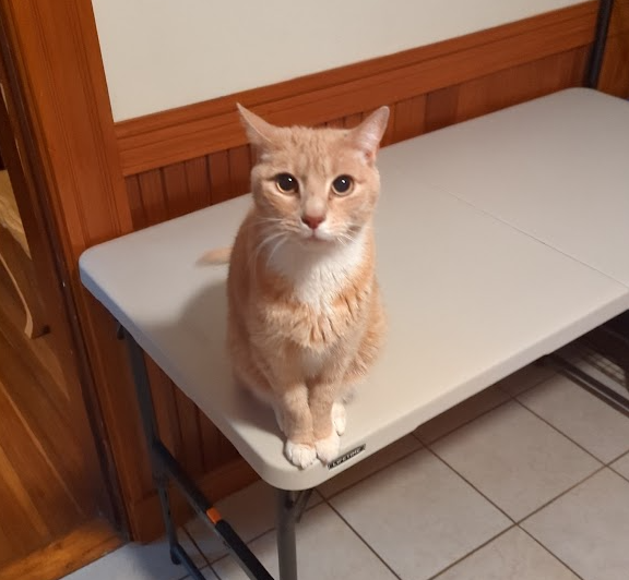 5 Stages of understanding transistors – Positive Feedback